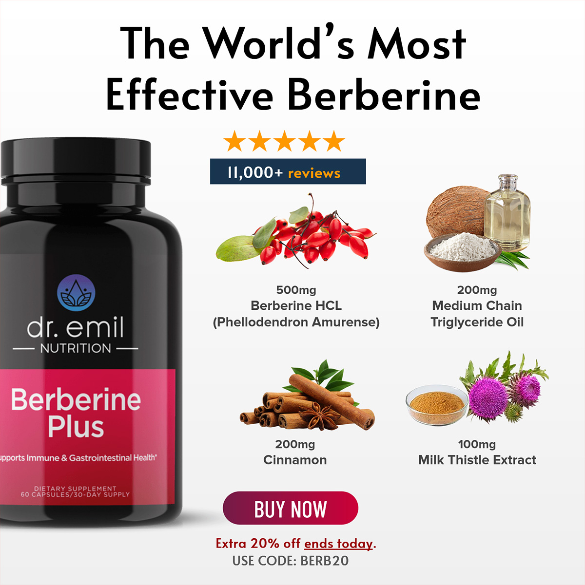 Berberine Drug Interactions: The Dos and Don’ts of This Supplement